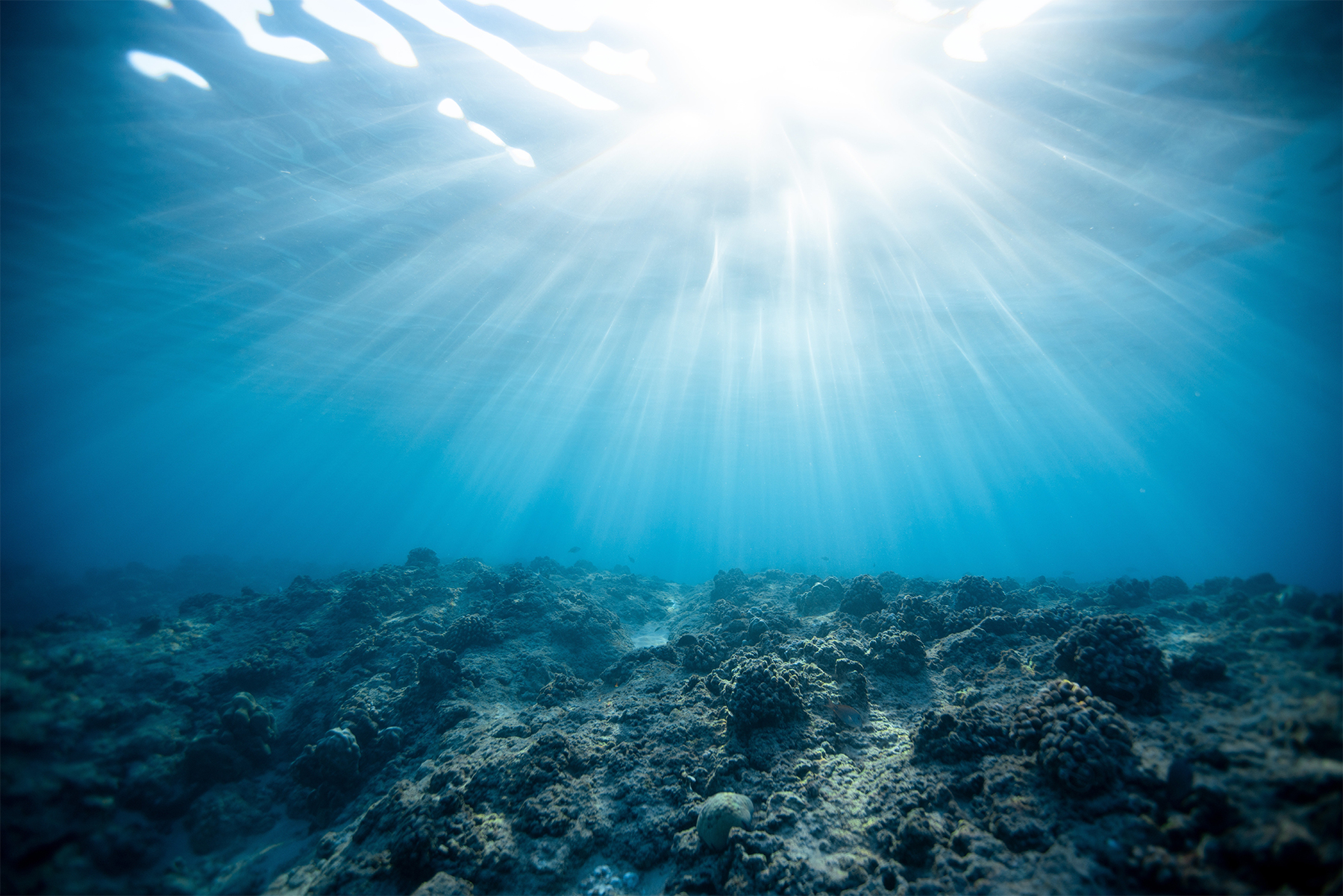 How to Be Kind to The Seaside on Holiday | Kiwano Hotels | Blog